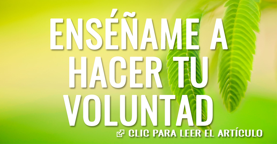 Enséñame a hacer tu voluntad | Restablecidos