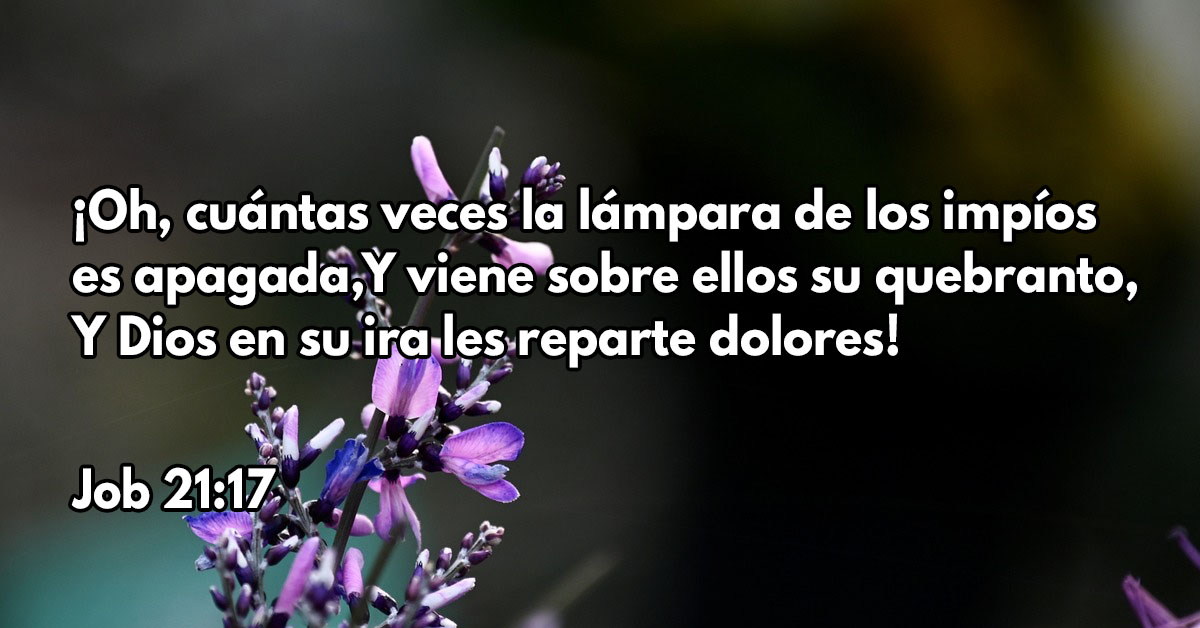 Dios en su ira reparte dolores a los impíos | Restablecidos